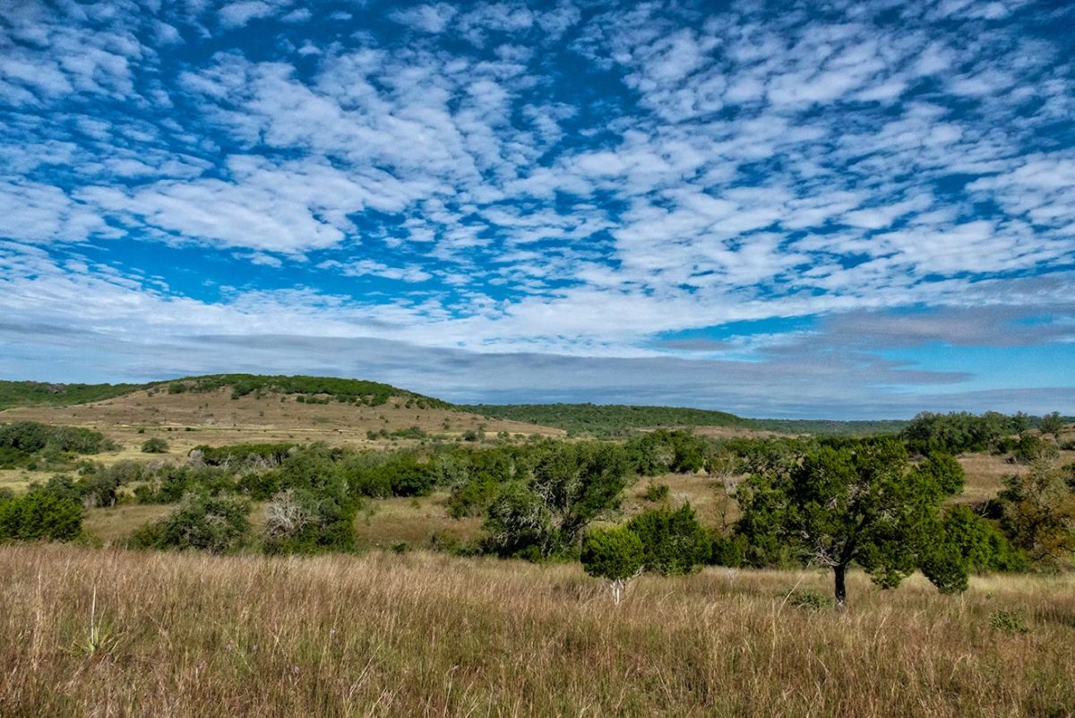 Balcones Canyonlands National Wildlife Refuge - The Highland Lakes of ...